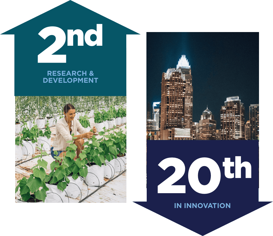 Homepage - NCInnovation